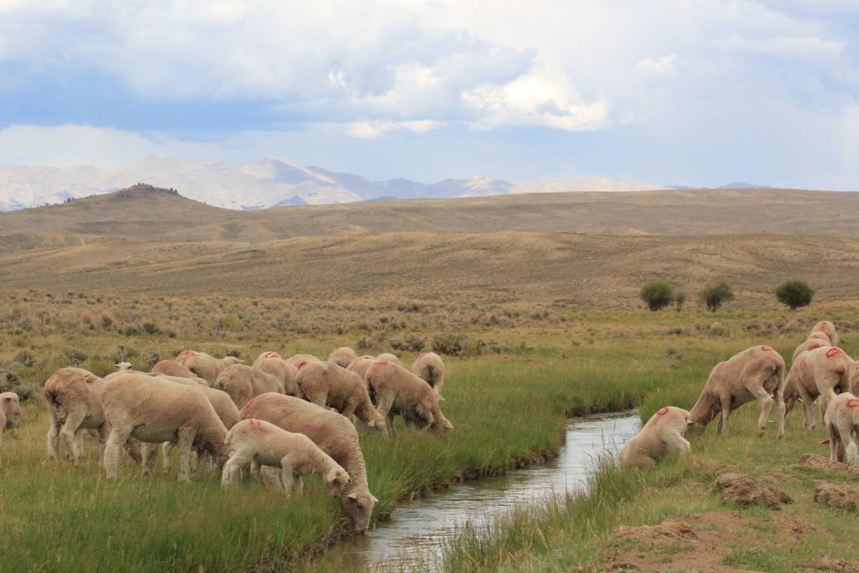 Dedicated to improvements: New organization looks toward future of U.S ...