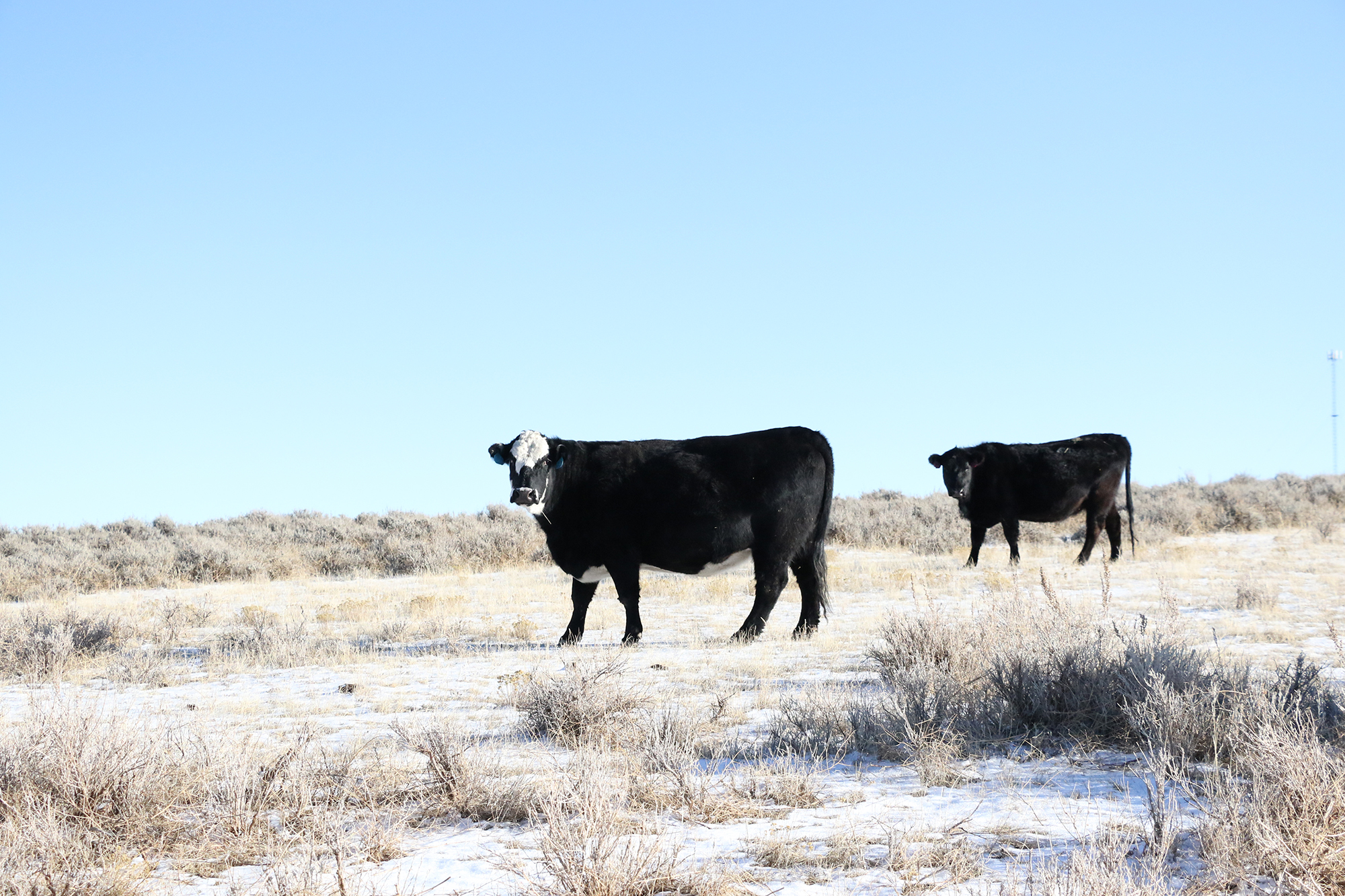 2021 WGFD Landowner of the Year Awards: Landowners recognized for ...