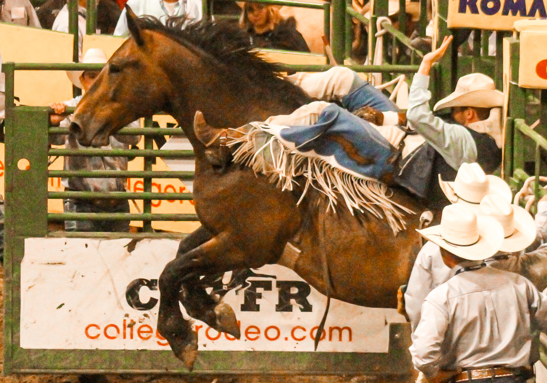 Wyoming well represented at CNFR: Wyoming collegiate rodeo athletes to ...