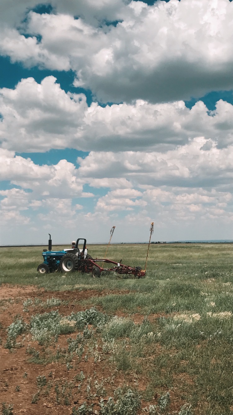 Harvest outlook: Hay producers across the U.S. impacted by weather ...
