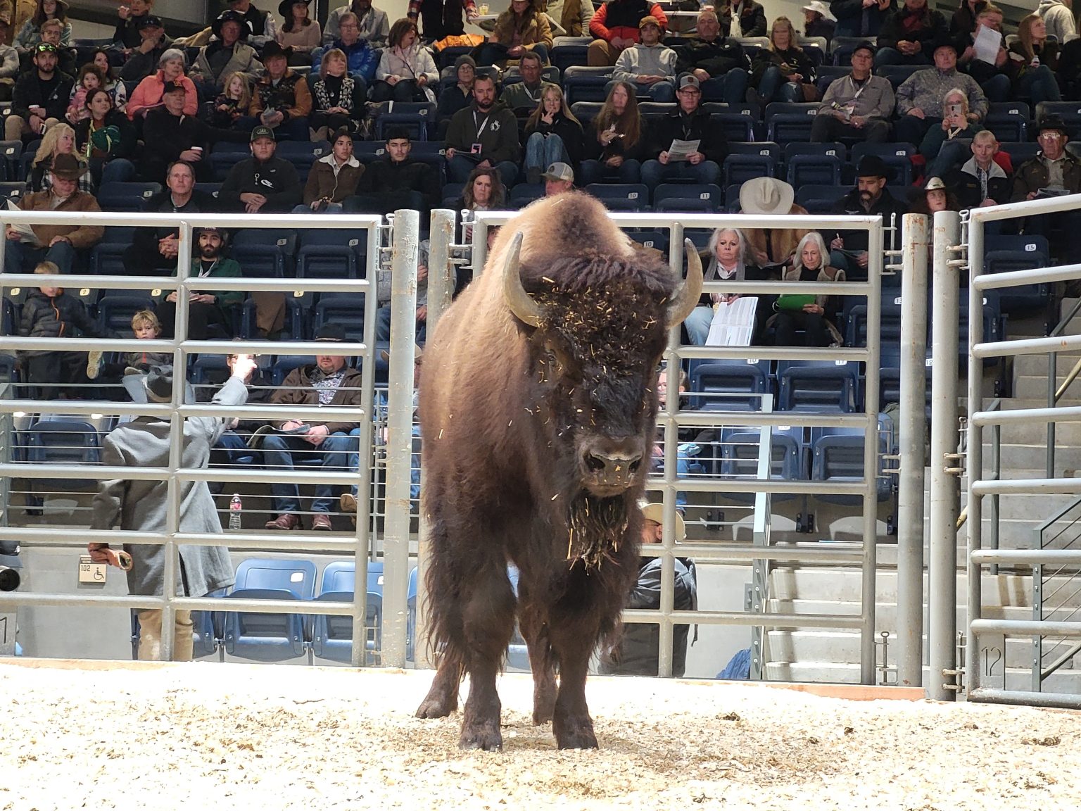 Hats off to Bison: NBA holds 2024 Winter Conference in conjunction with ...